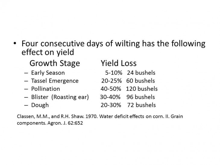 Keeping Up With Corn Water Demand – Florida Crops